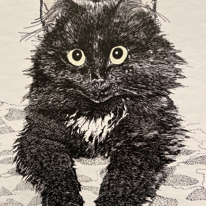 Catit Art Contest 2026 - Cat art from Canada - Catit